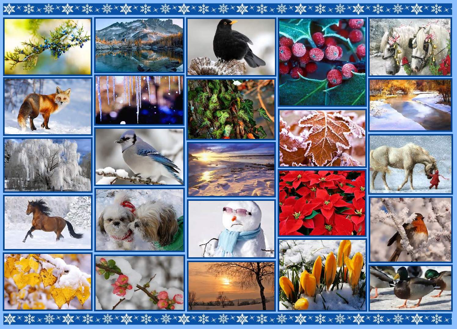 Solve Winter colour jigsaw puzzle online with 192 pieces