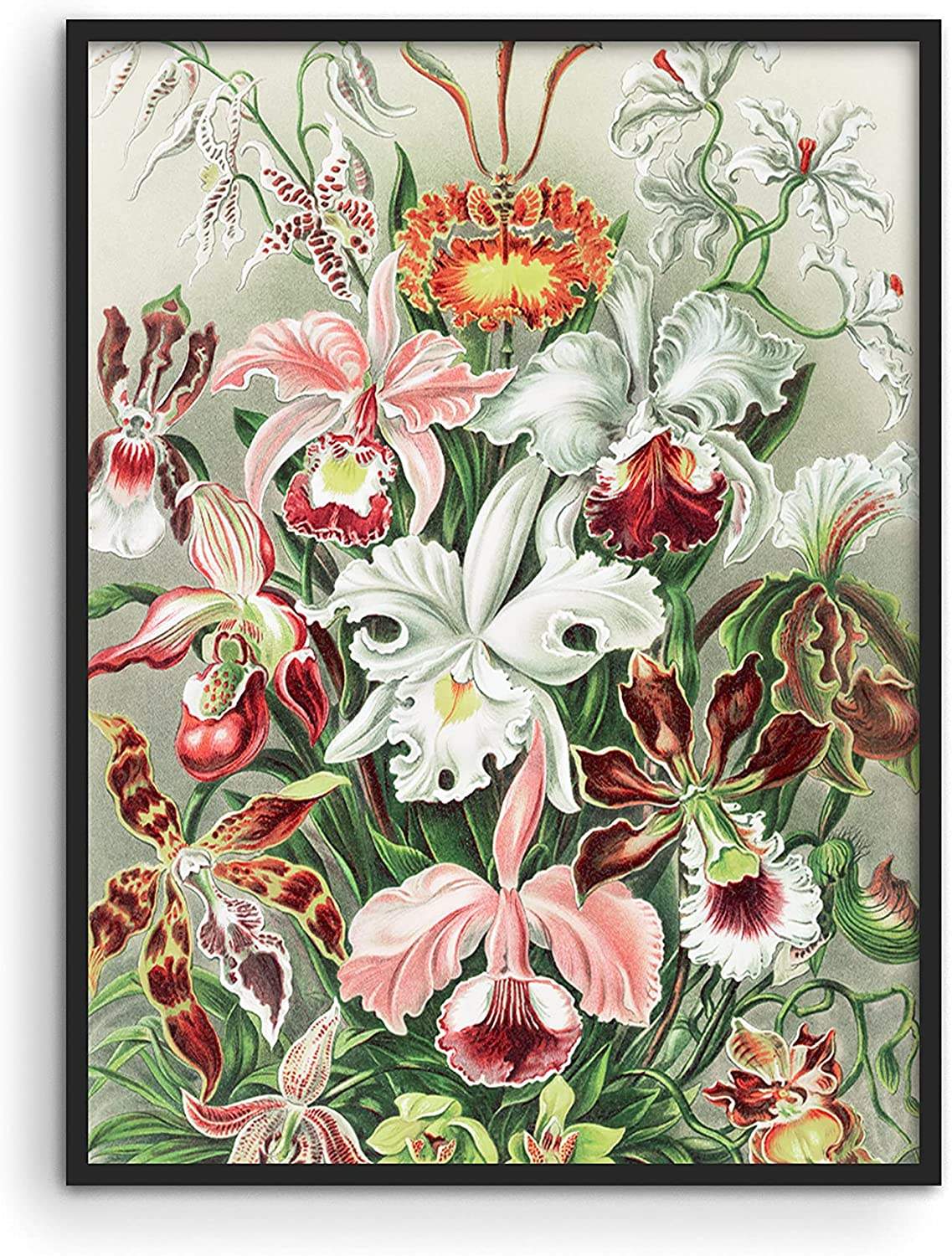 Solve Vintage Orchid Print jigsaw puzzle online with 204 pieces