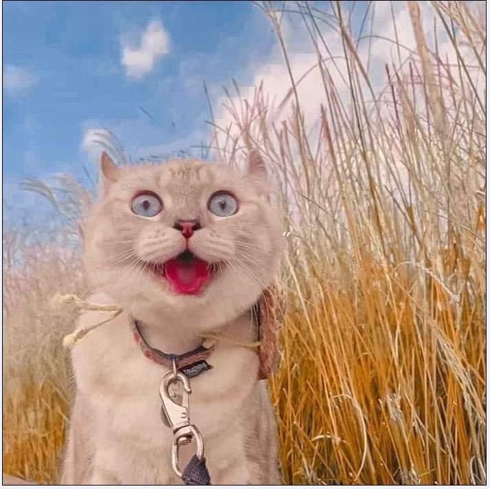 Solve Úsměv_Smile jigsaw puzzle online with 36 pieces