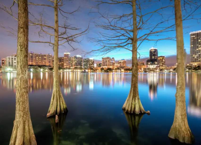 Solve City of Floating Trees jigsaw puzzle online with 154 pieces