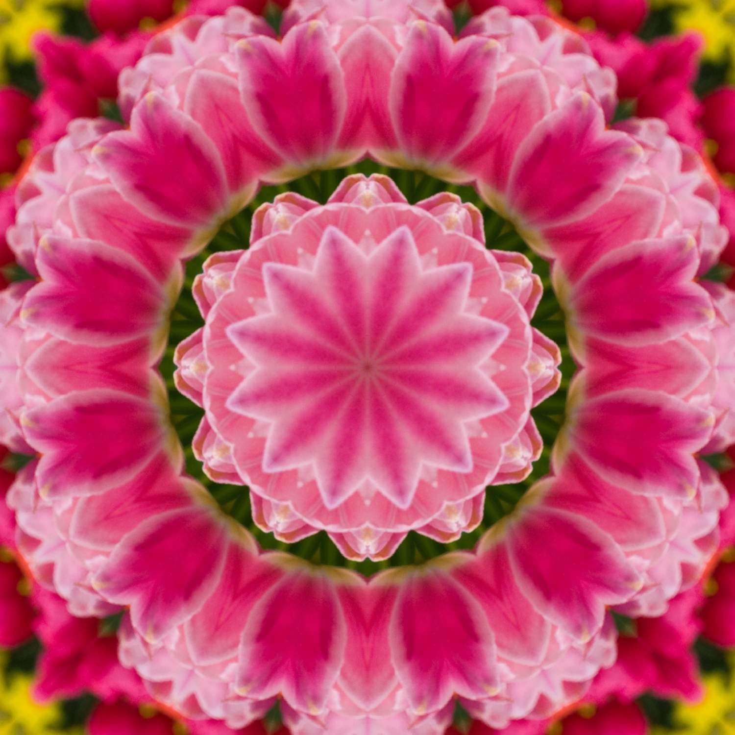 Solve 554 pink very large jigsaw puzzle online with 576 pieces