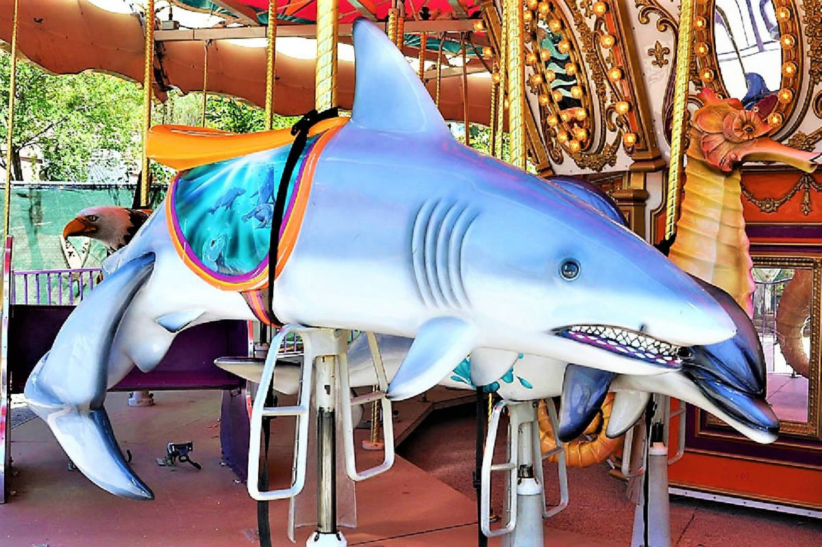 Solve Carousel Animals ~ Shark jigsaw puzzle online with 77 pieces
