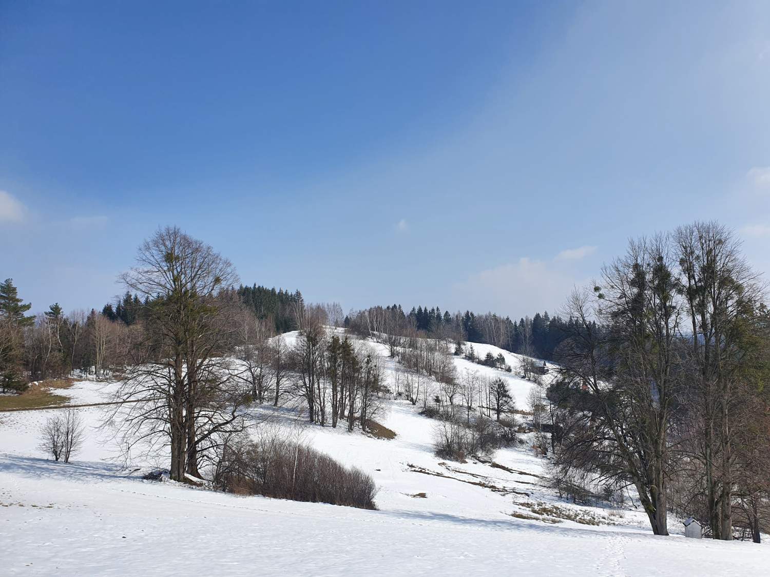 Solve Dnes přišlo jaro - Spring has come today jigsaw puzzle online ...