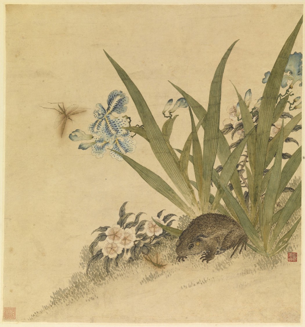 Solve Toad and Grasshopper by Flowers, after 1689, Jiao Bingzhen jigsaw ...