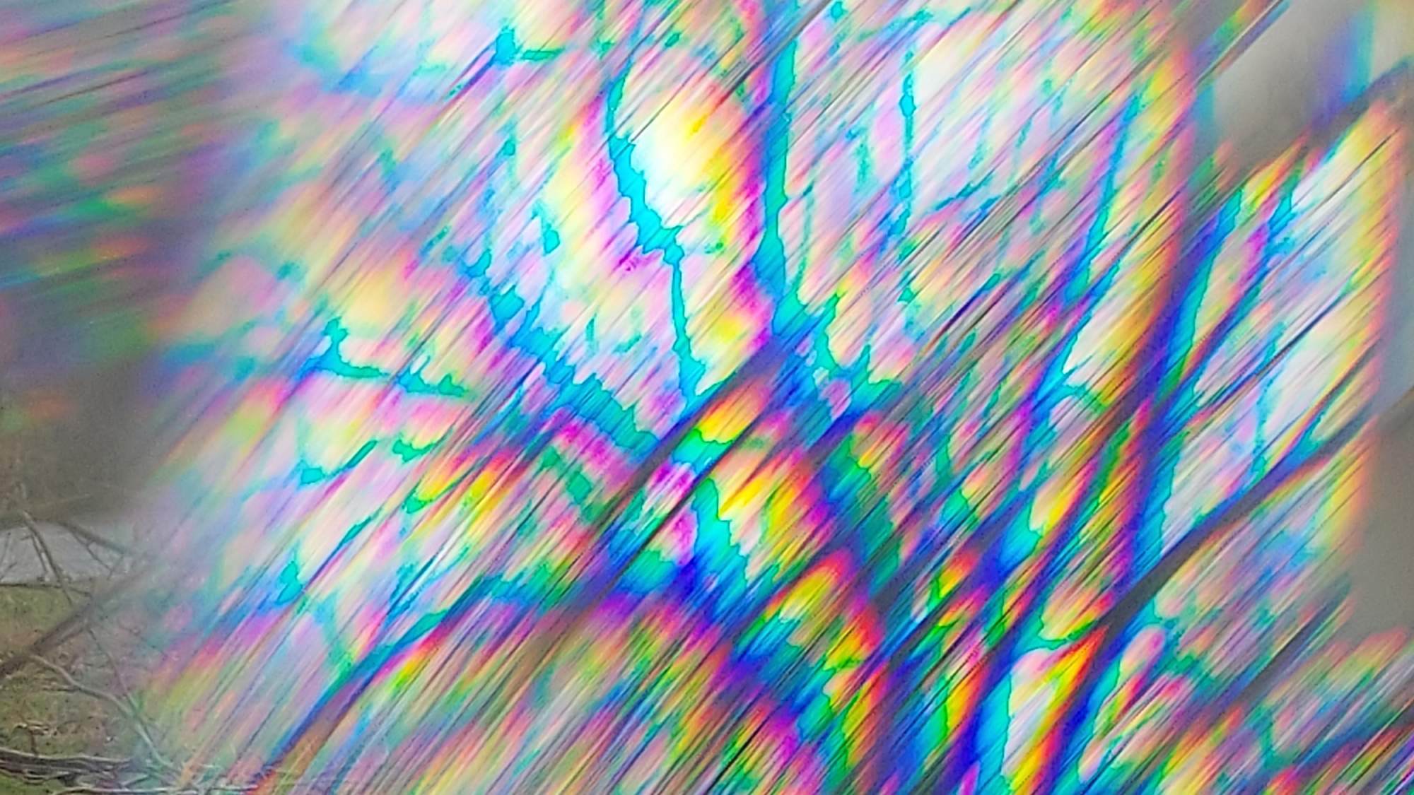 Solve Prism tree (click to see the colors) jigsaw puzzle online with ...