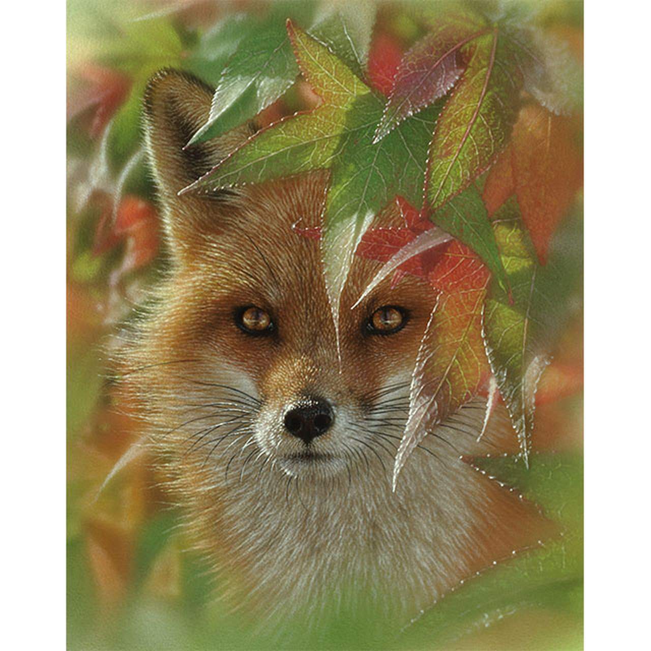 Solve Red_Fox_ jigsaw puzzle online with 196 pieces