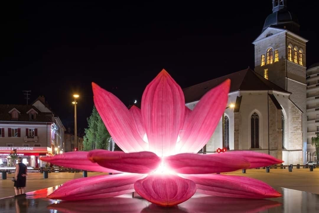 Solve jigsaw puzzle online with 70 pieces