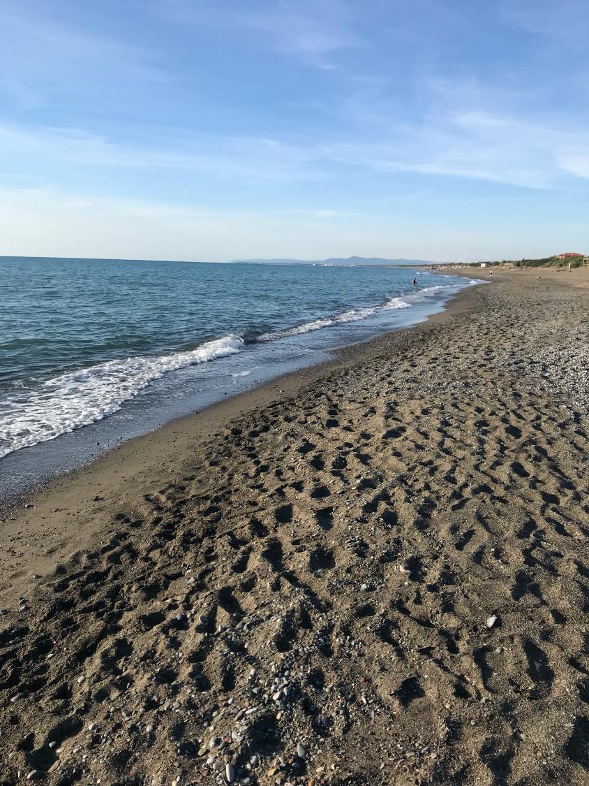 Solve Strand jigsaw puzzle online with 48 pieces