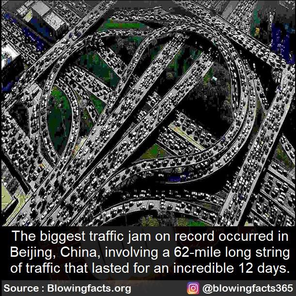 Solve traffic jam jigsaw puzzle online with 36 pieces