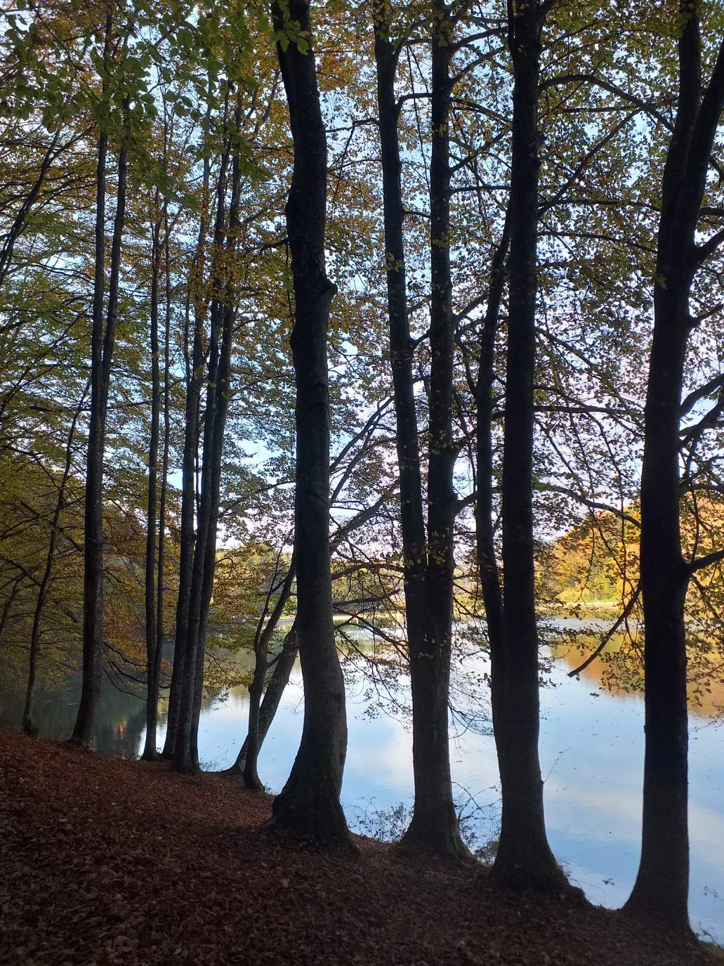 Solve Love this one jigsaw puzzle online with 99 pieces