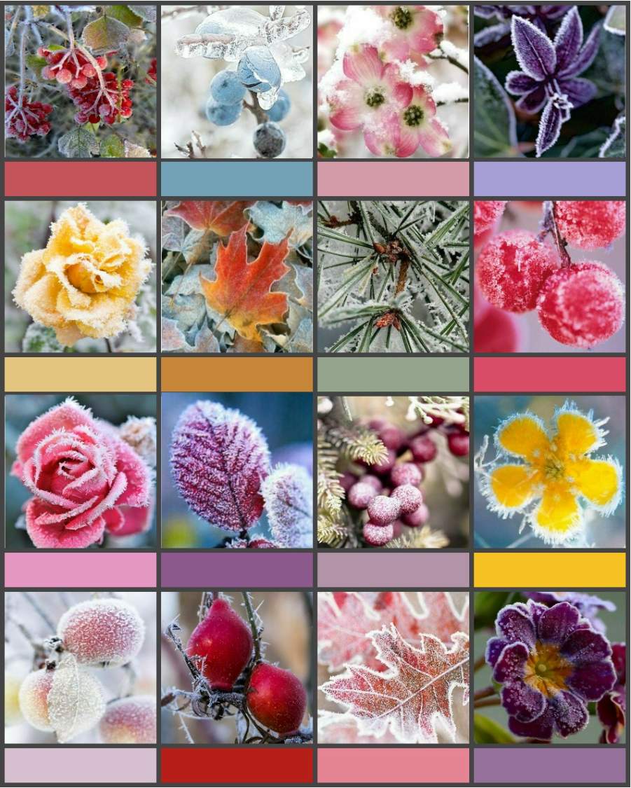 Solve First frost jigsaw puzzle online with 42 pieces