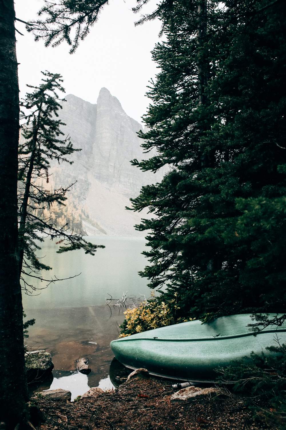 Solve canoe jigsaw puzzle online with 425 pieces