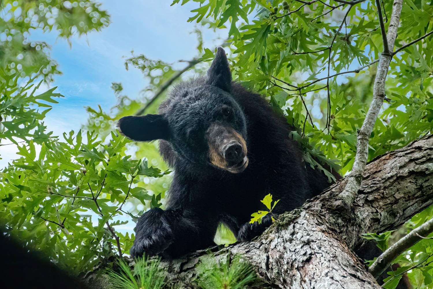 Solve Hey down there jigsaw puzzle online with 77 pieces