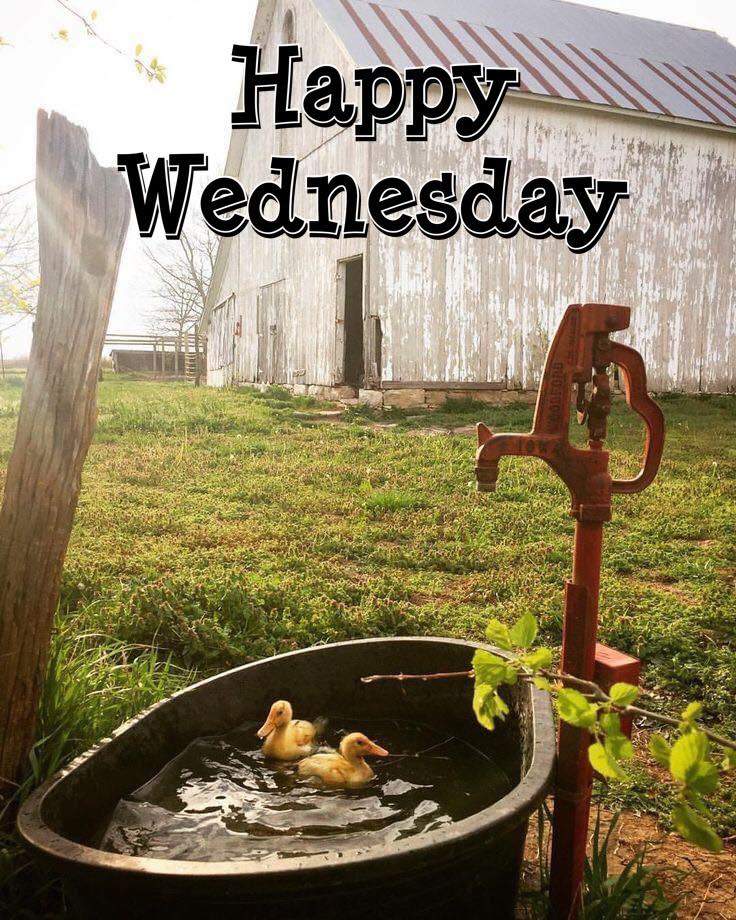 Solve Good Morning - Happy Wednesday! jigsaw puzzle online with 63 pieces