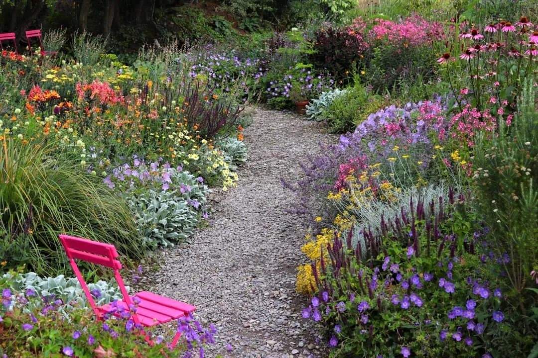 Solve Garden path jigsaw puzzle online with 40 pieces