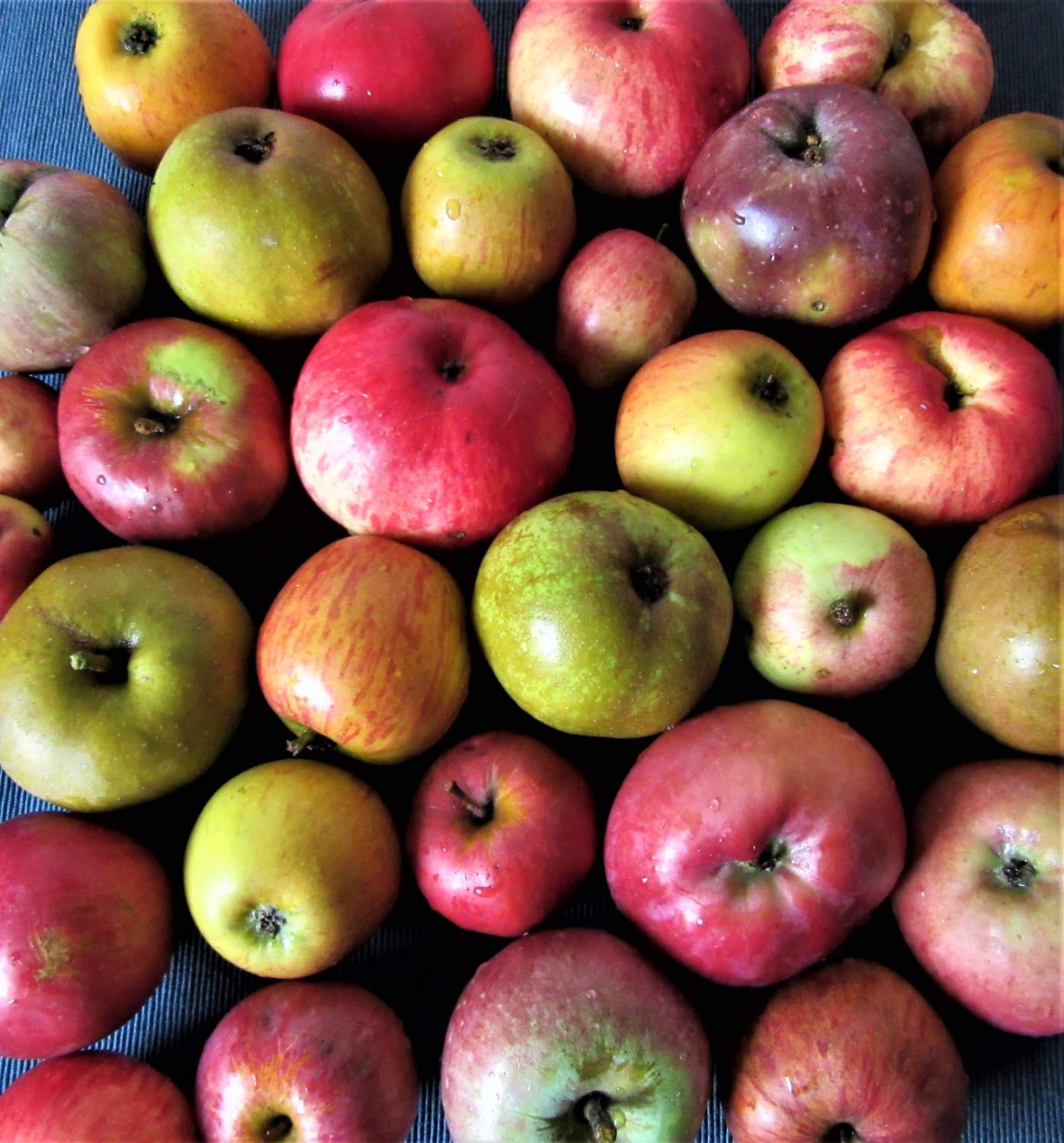 Solve so many apples jigsaw puzzle online with 575 pieces