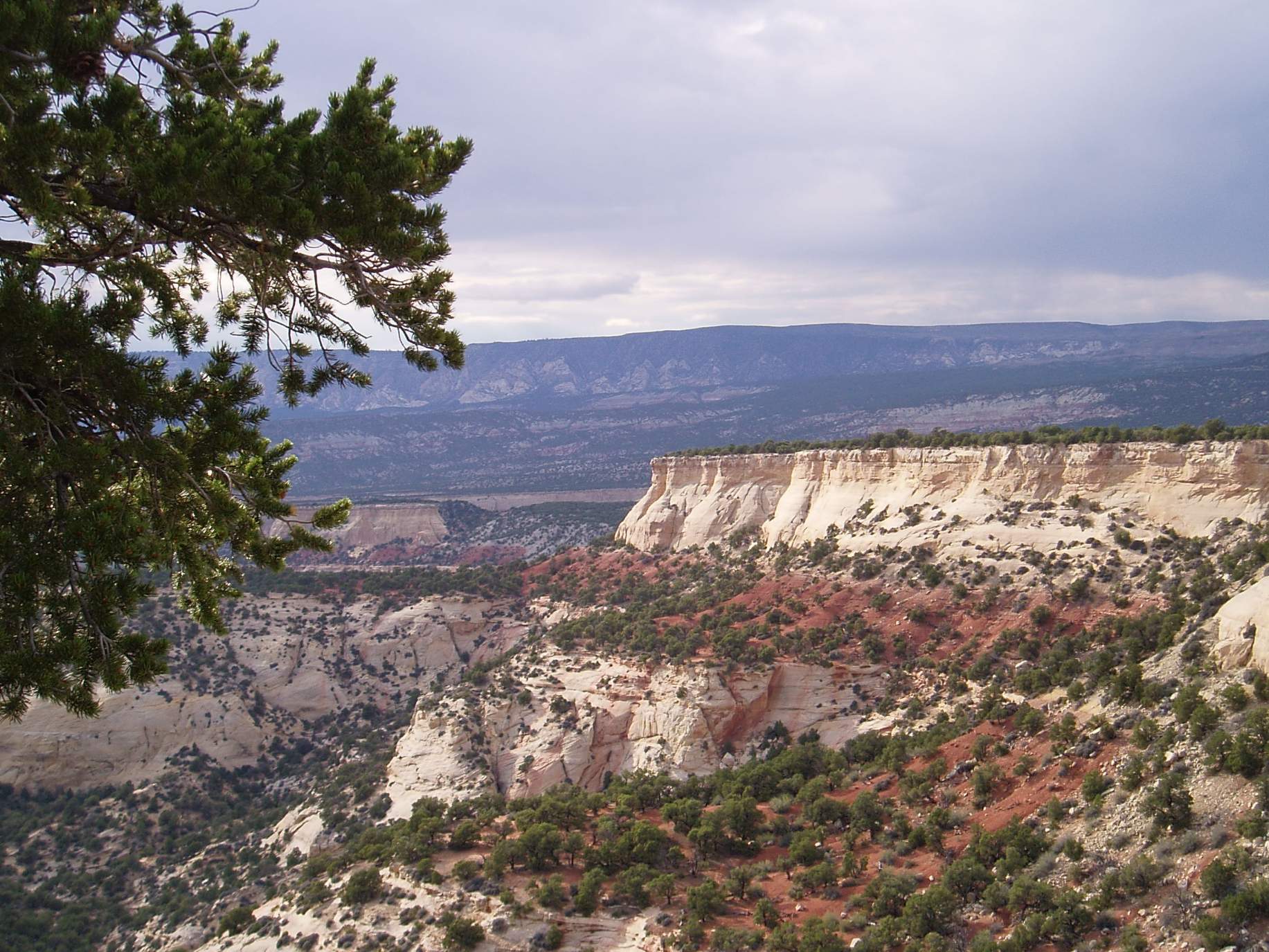 Solve Plug Hat View jigsaw puzzle online with 165 pieces