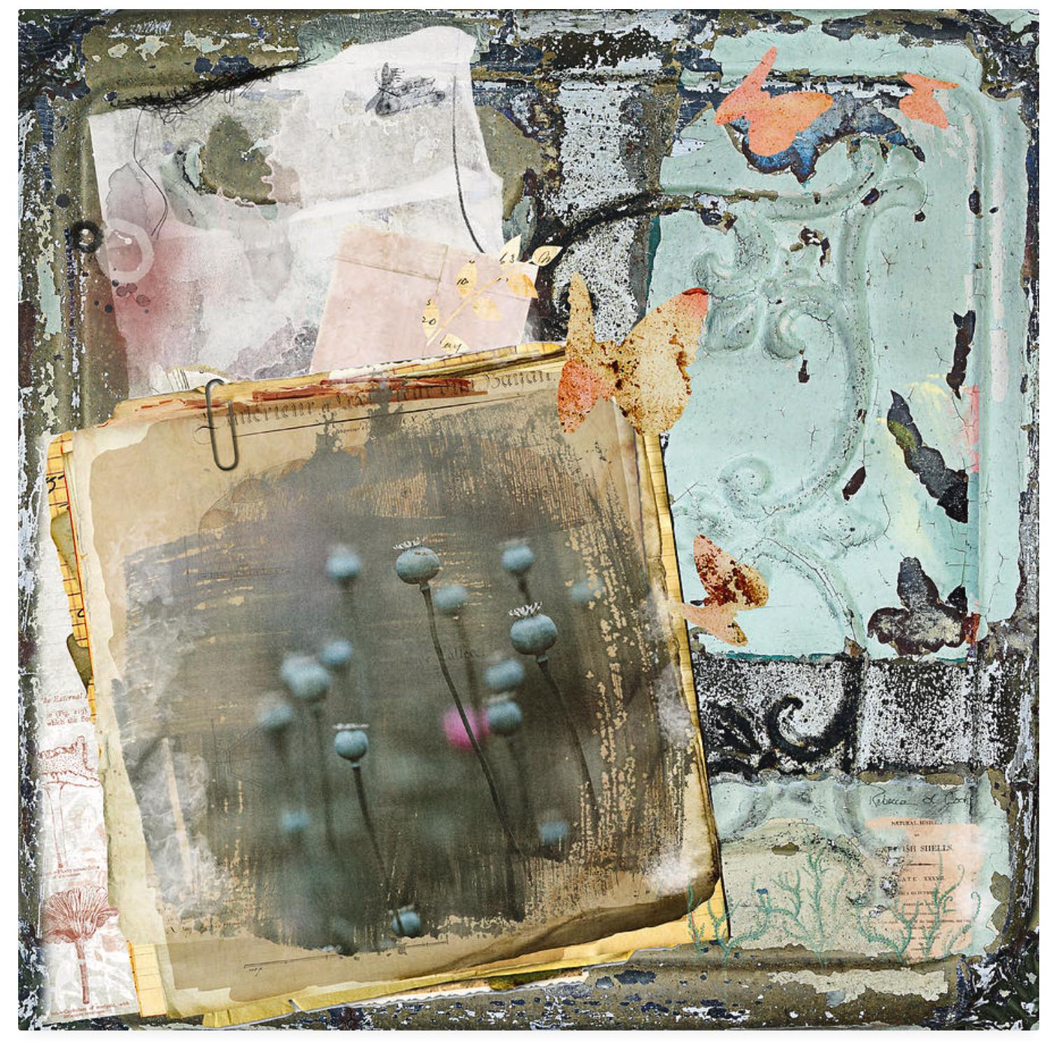 Solve Botany Studies jigsaw puzzle online with 306 pieces