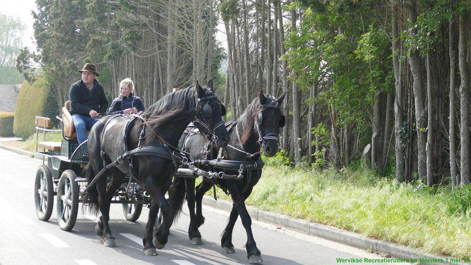 Solve Friese paarden en koets jigsaw puzzle online with 144 pieces