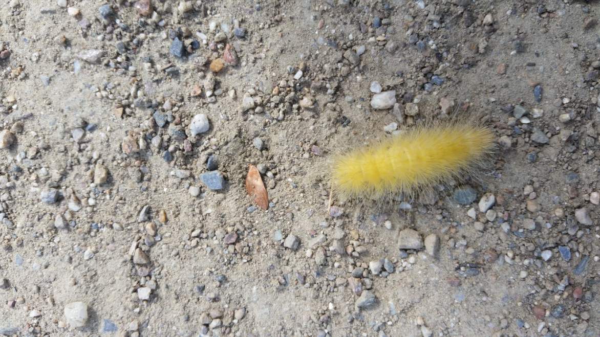 Solve Fuzzle Puzzle #2 jigsaw puzzle online with 15 pieces