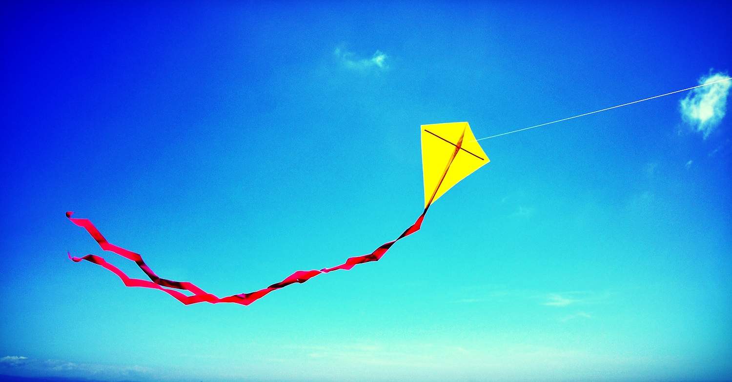 Solve kite 💙💛 jigsaw puzzle online with 50 pieces