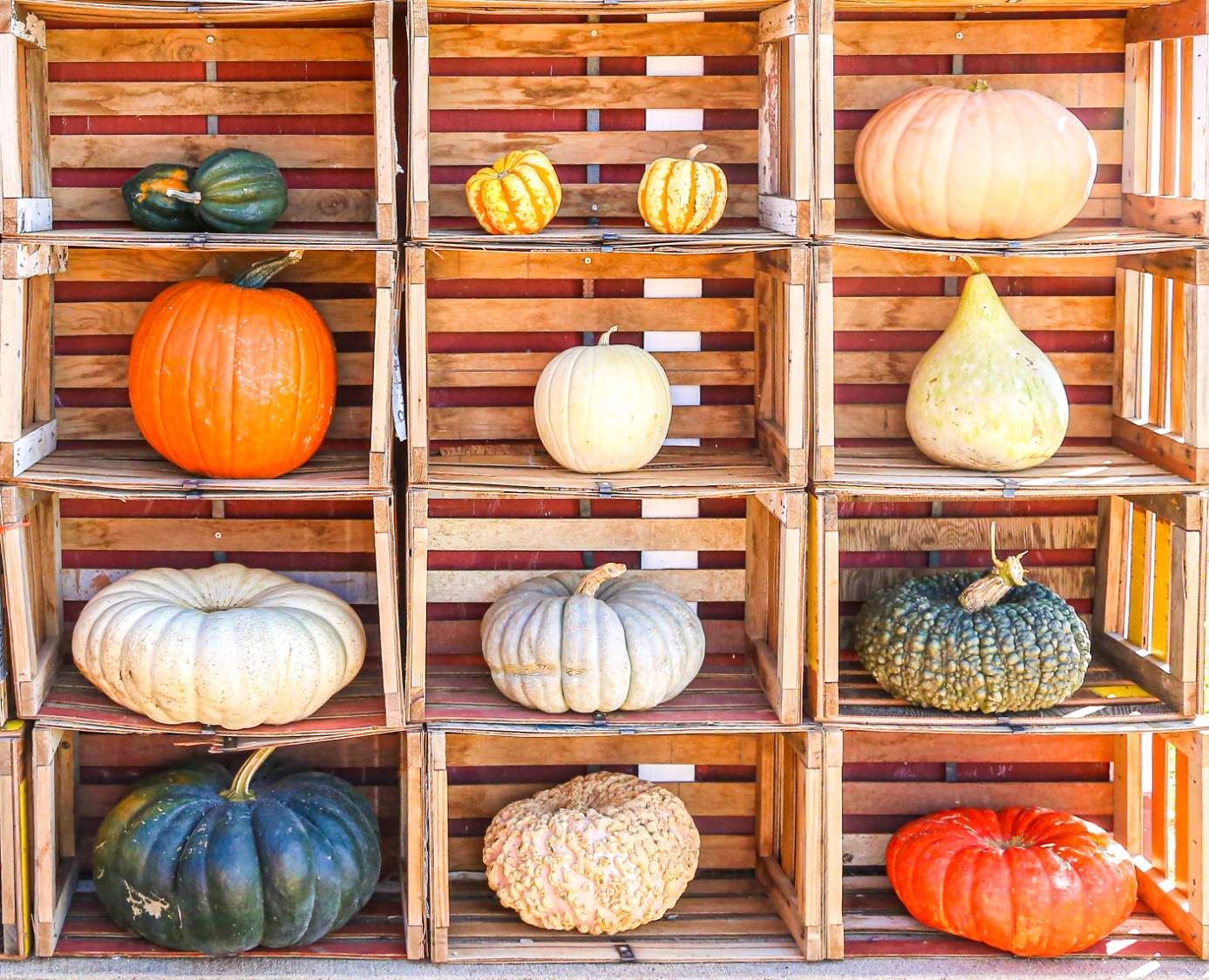 Solve TIC-TAC-TOE SQUASH jigsaw puzzle online with 99 pieces