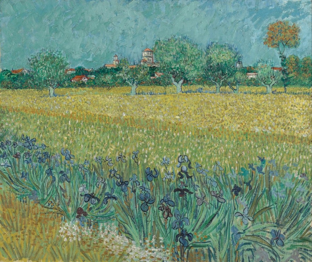 Solve Vincent Van Gogh Field With Irises Near Arles 1888 Jigsaw solve-vincent-van-gogh-field-with-irises-near-arles-1888-jigsaw