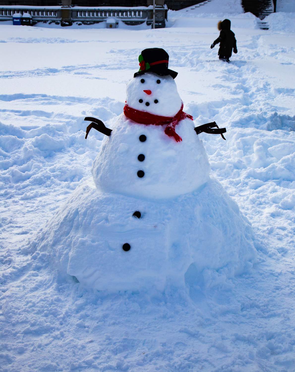 Solve A snowman in front of the BC Parliament jigsaw puzzle online with ...