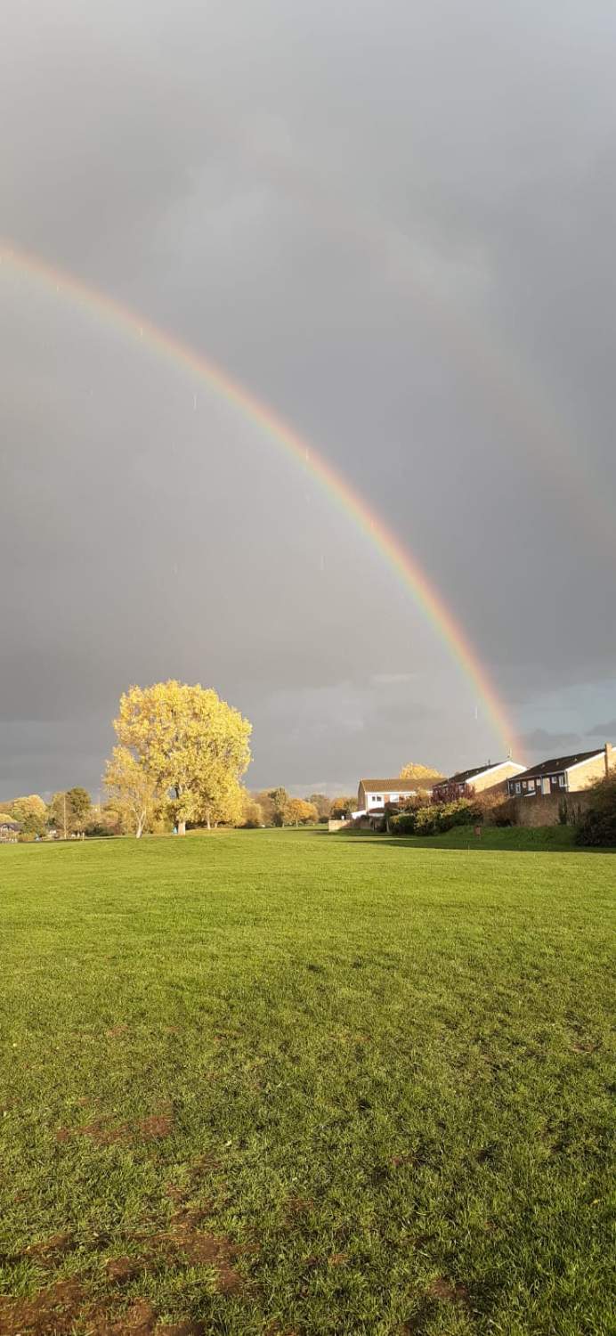 Solve Rainbow during the 2020 lockdown jigsaw puzzle online with 98 pieces