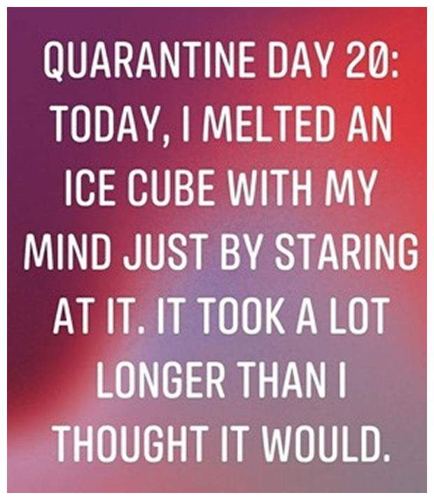 Solve Quarantine, Day 20 jigsaw puzzle online with 12 pieces