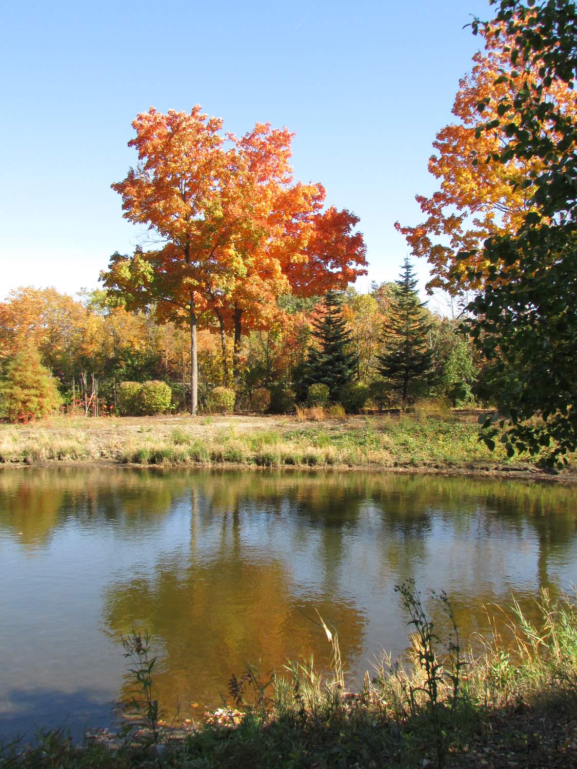 Solve Autumn Reflections jigsaw puzzle online with 108 pieces