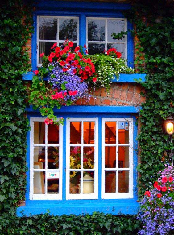 Solve BEAUTIFUL WINDOW jigsaw puzzle online with 63 pieces