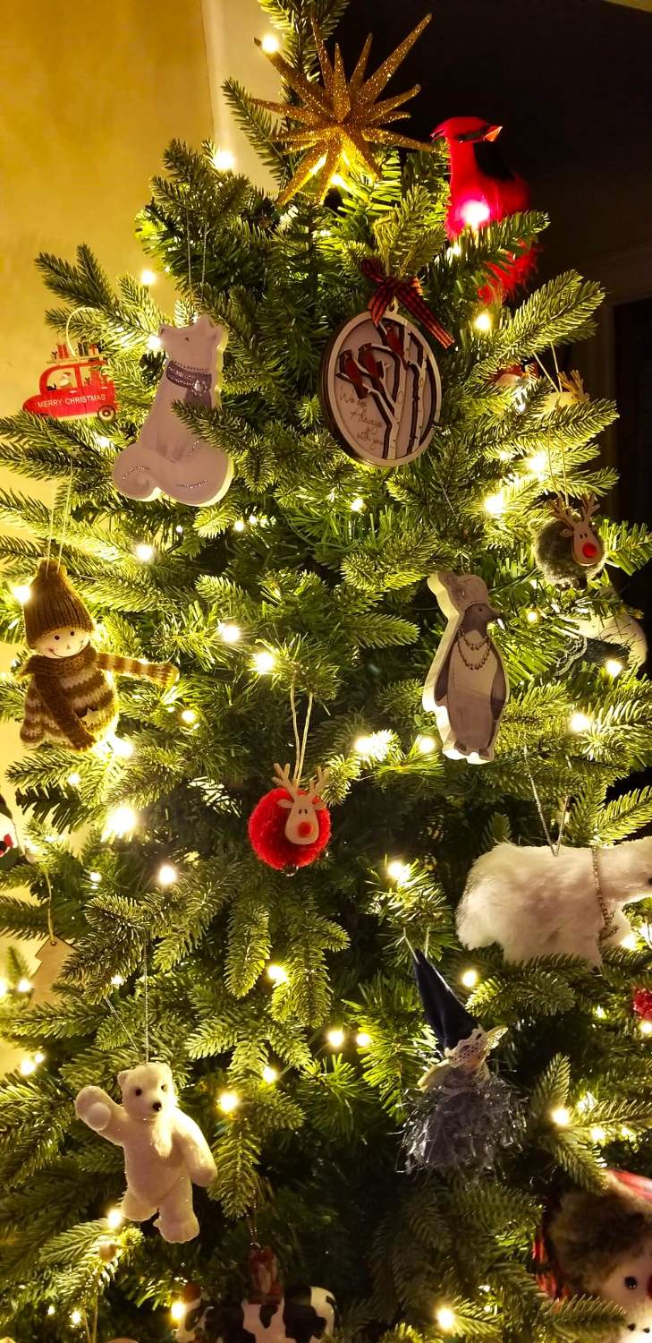 Solve I want the tree & lights kept up year-round! jigsaw puzzle online ...