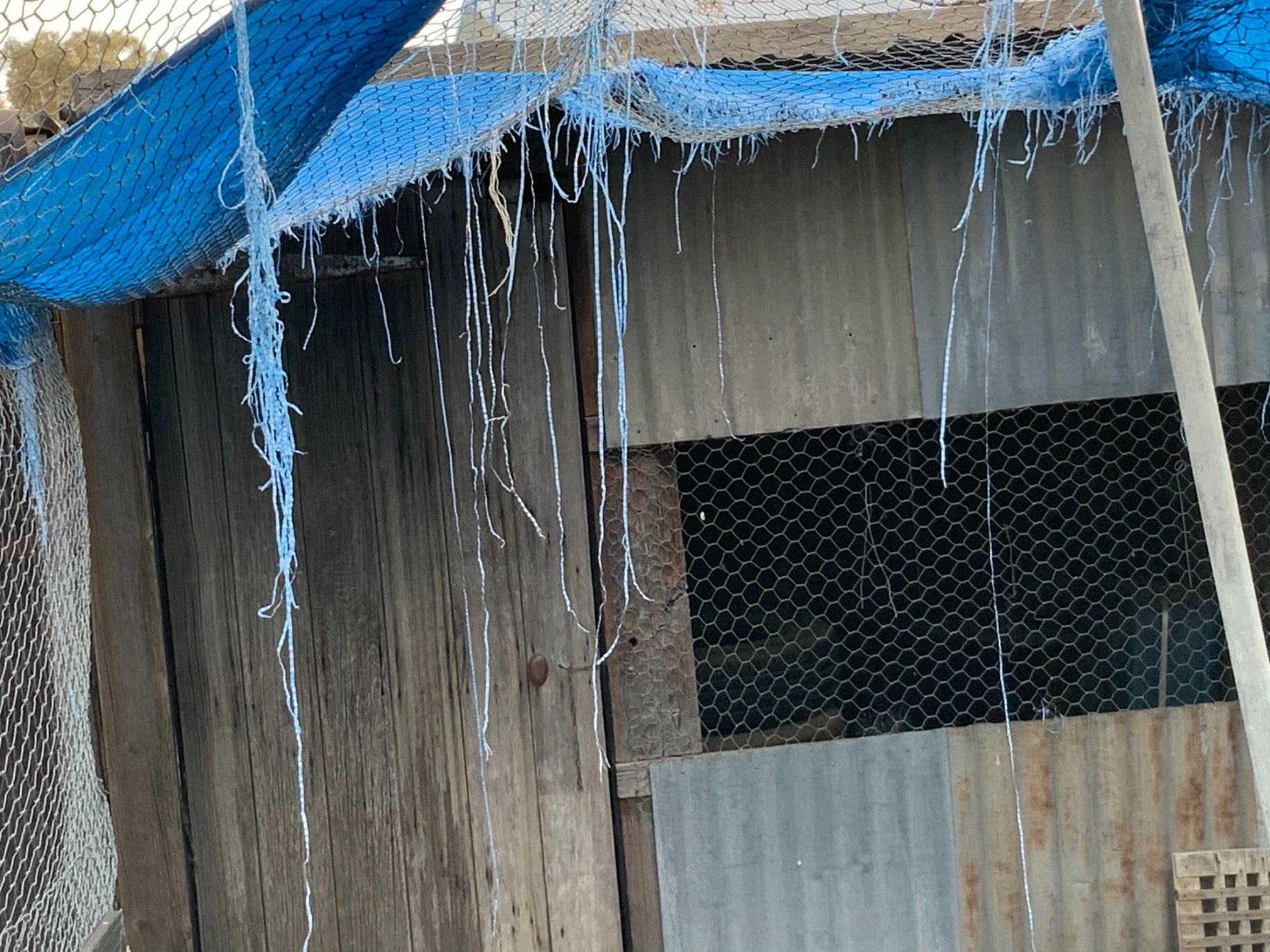 Solve Old shed, busted tarp jigsaw puzzle online with 165 pieces