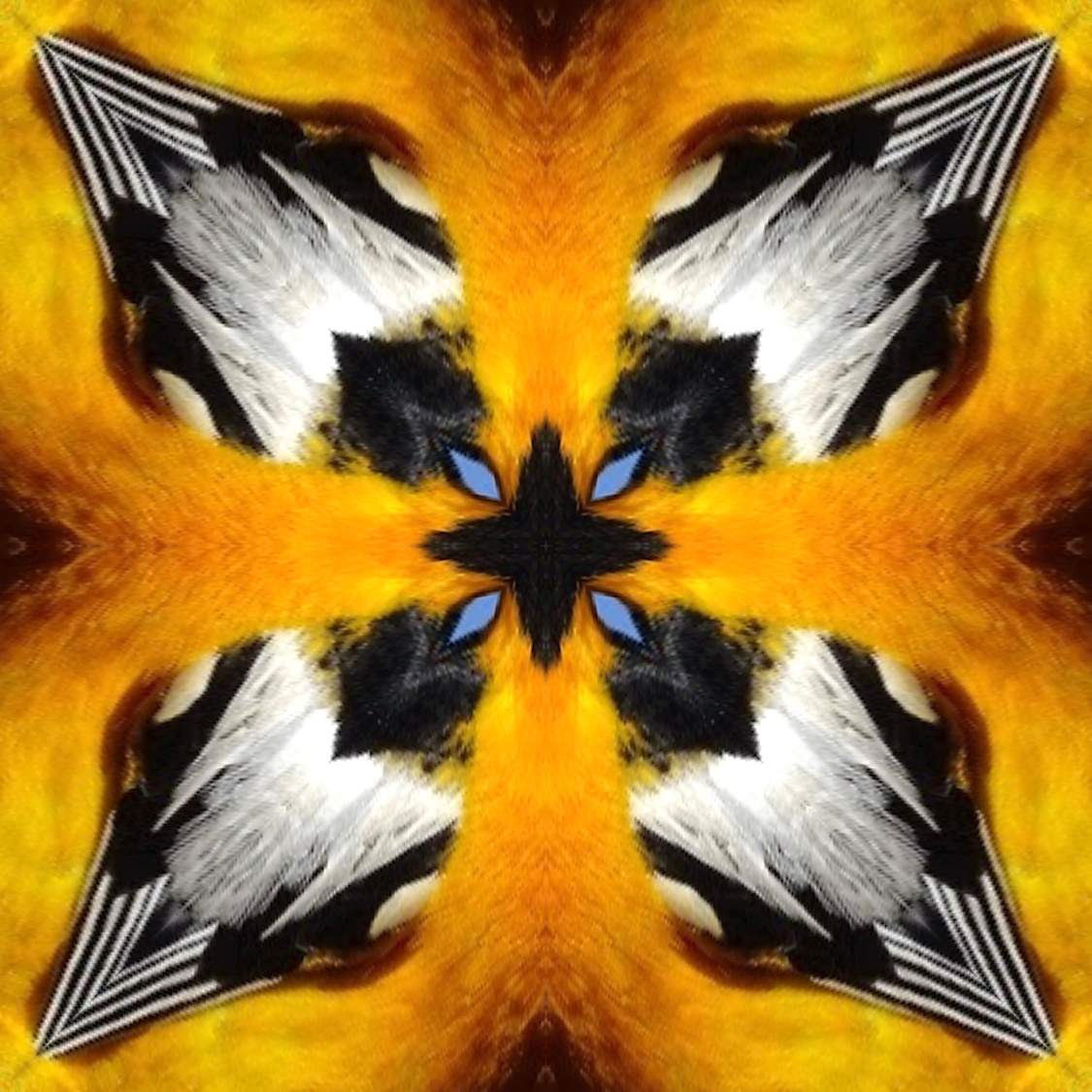 Solve #2 small jigsaw puzzle online with 64 pieces