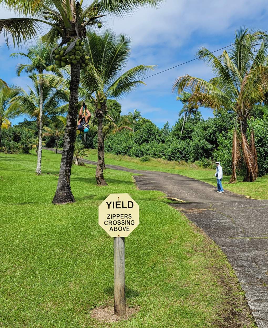 Solve Unique warning sign jigsaw puzzle online with 80 pieces