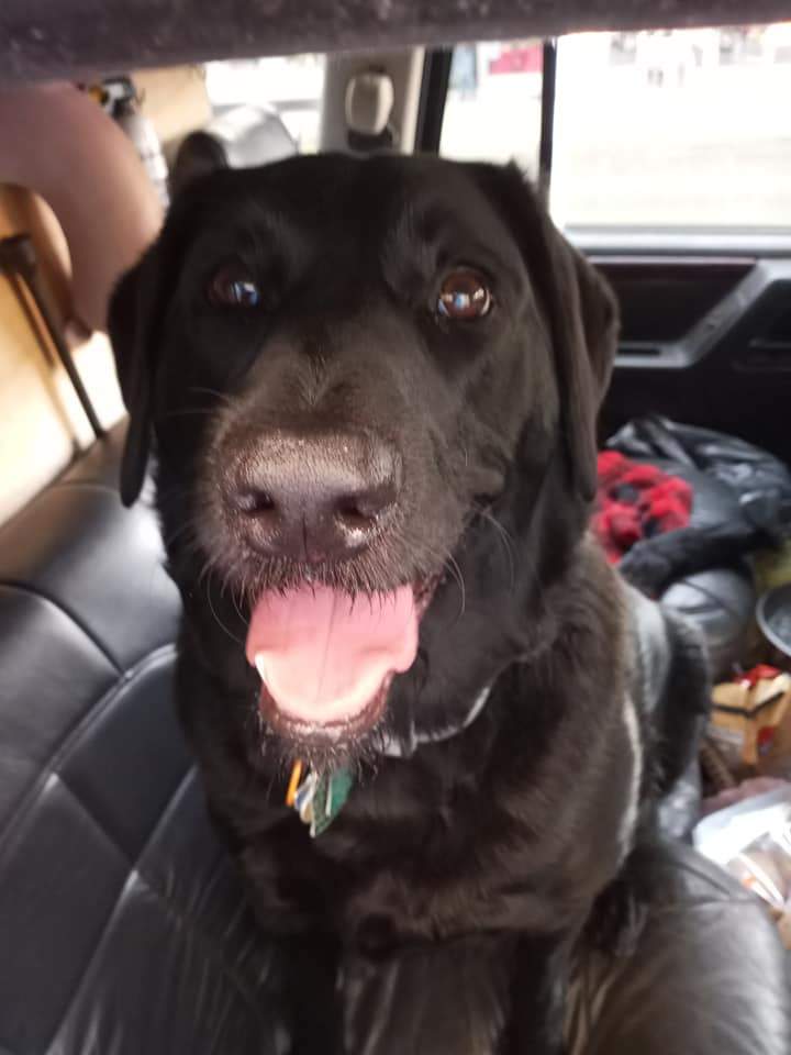 Solve Nadia Go Bye Byes jigsaw puzzle online with 80 pieces