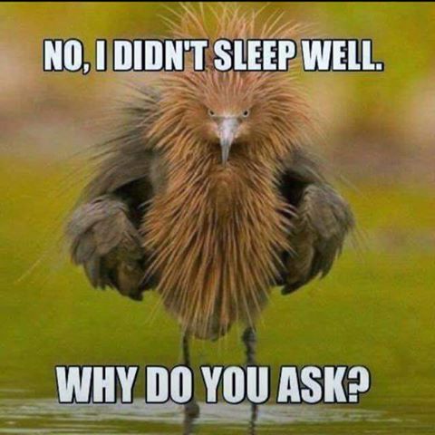 Solve Friday morning chuckle jigsaw puzzle online with 25 pieces