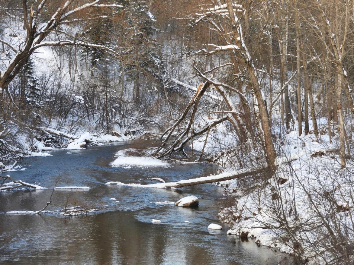 Solve Spring-fed river jigsaw puzzle online with 20 pieces