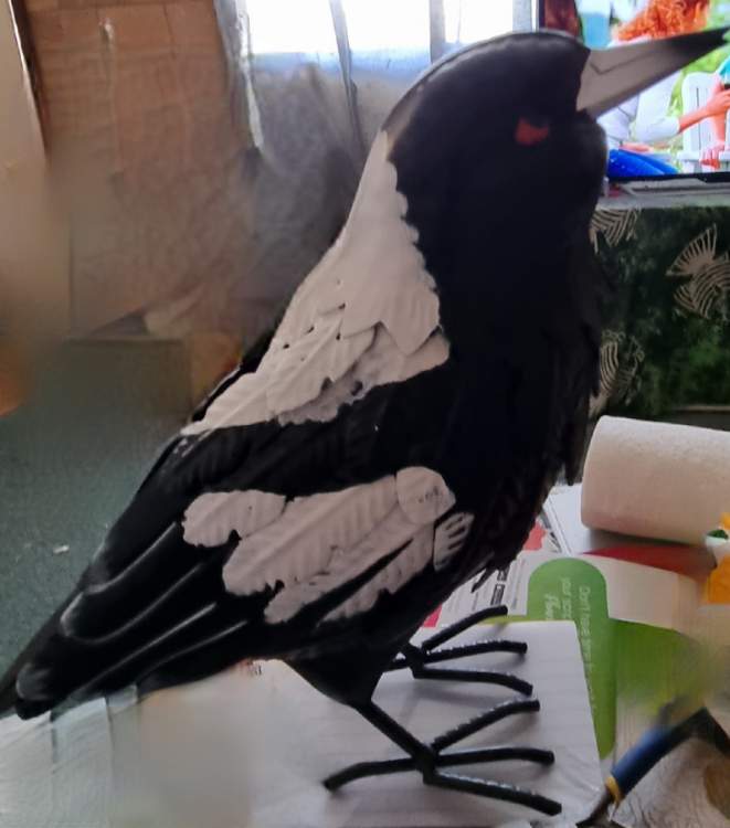 Solve Tin Magpie jigsaw puzzle online with 9 pieces