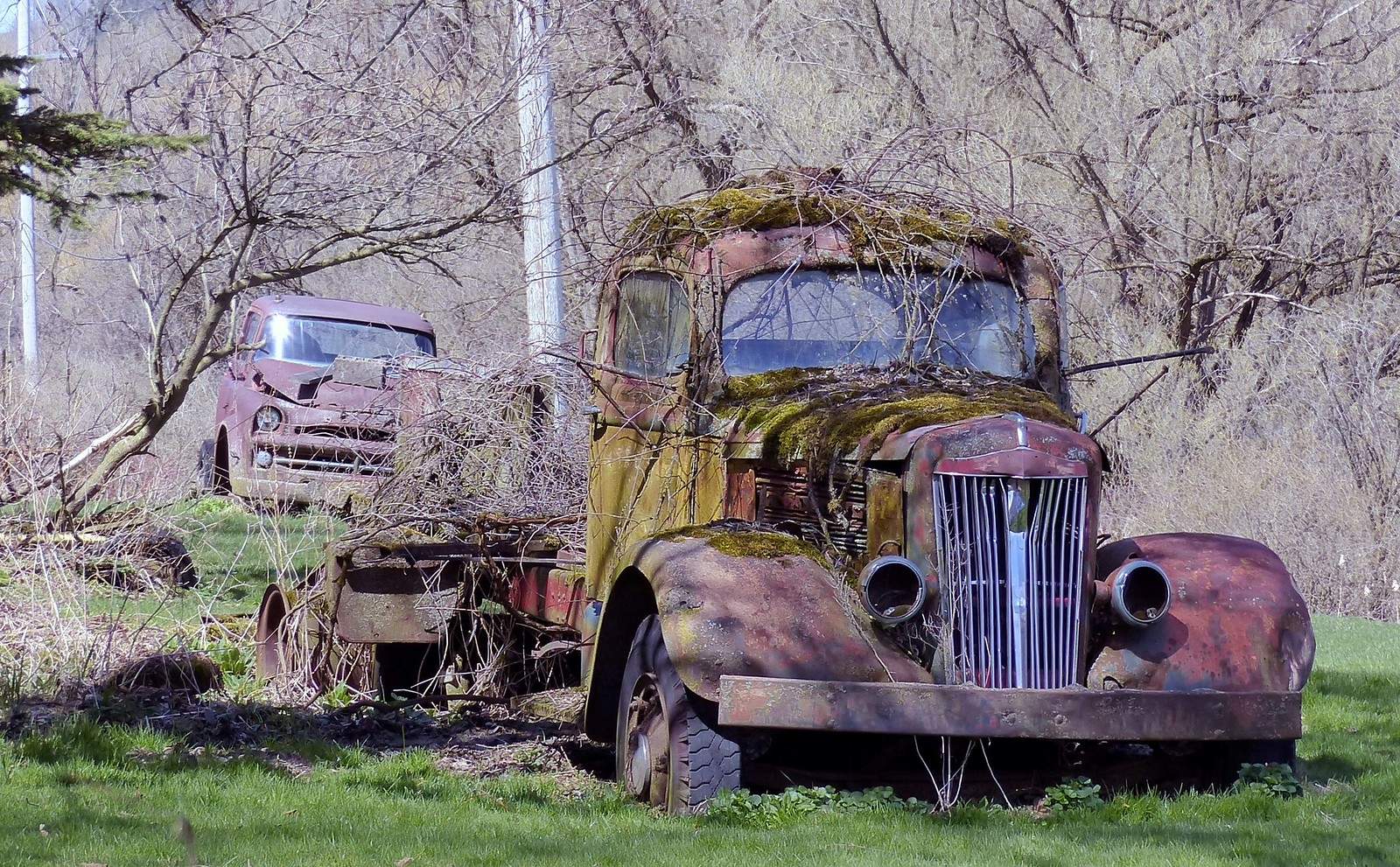 Solve two tired jigsaw puzzle online with 104 pieces