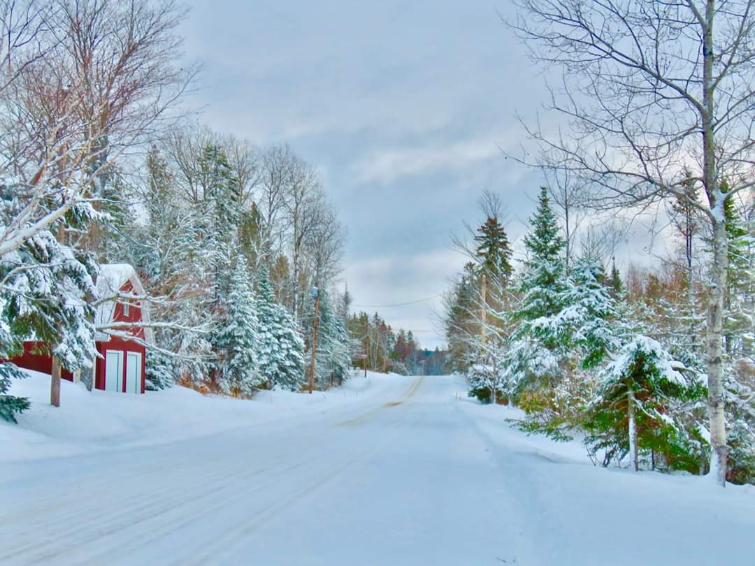 Solve Fresh Snow, Aroostook, ME jigsaw puzzle online with 108 pieces