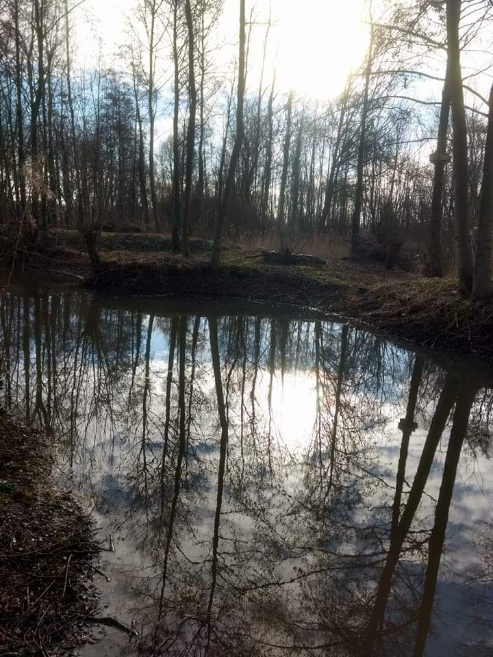 Solve Needham Lakes jigsaw puzzle online with 108 pieces