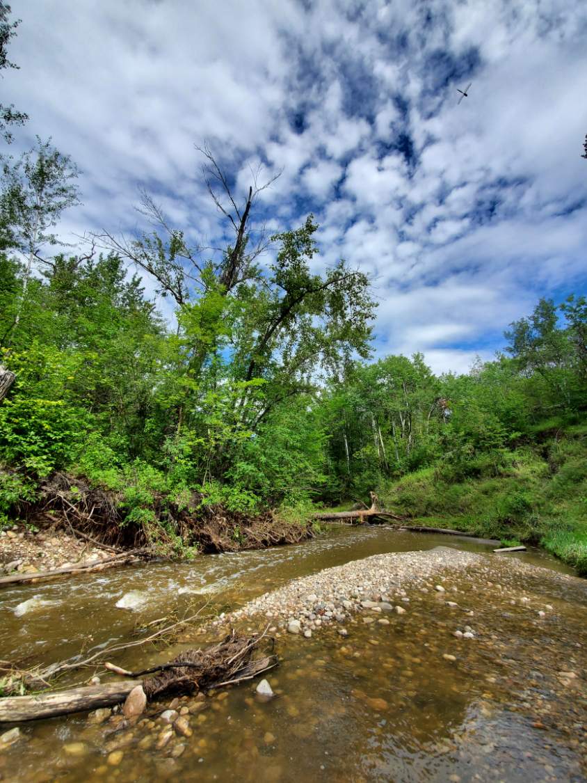 Solve Millcreek Ravine - Edmonton Alberta jigsaw puzzle online with 48 ...