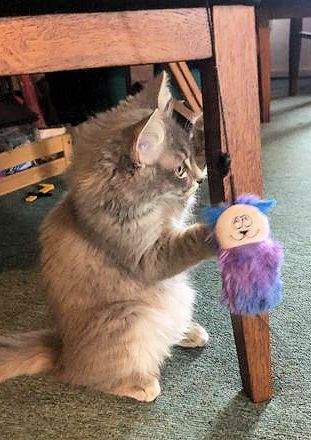 Jigsaw Puzzle | delta 2022 - Is this for me | 35 pieces | Jigidi