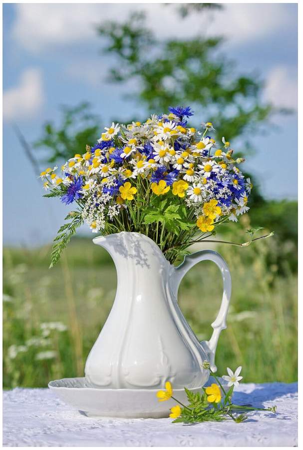 Solve Polne kvety jigsaw puzzle online with 54 pieces