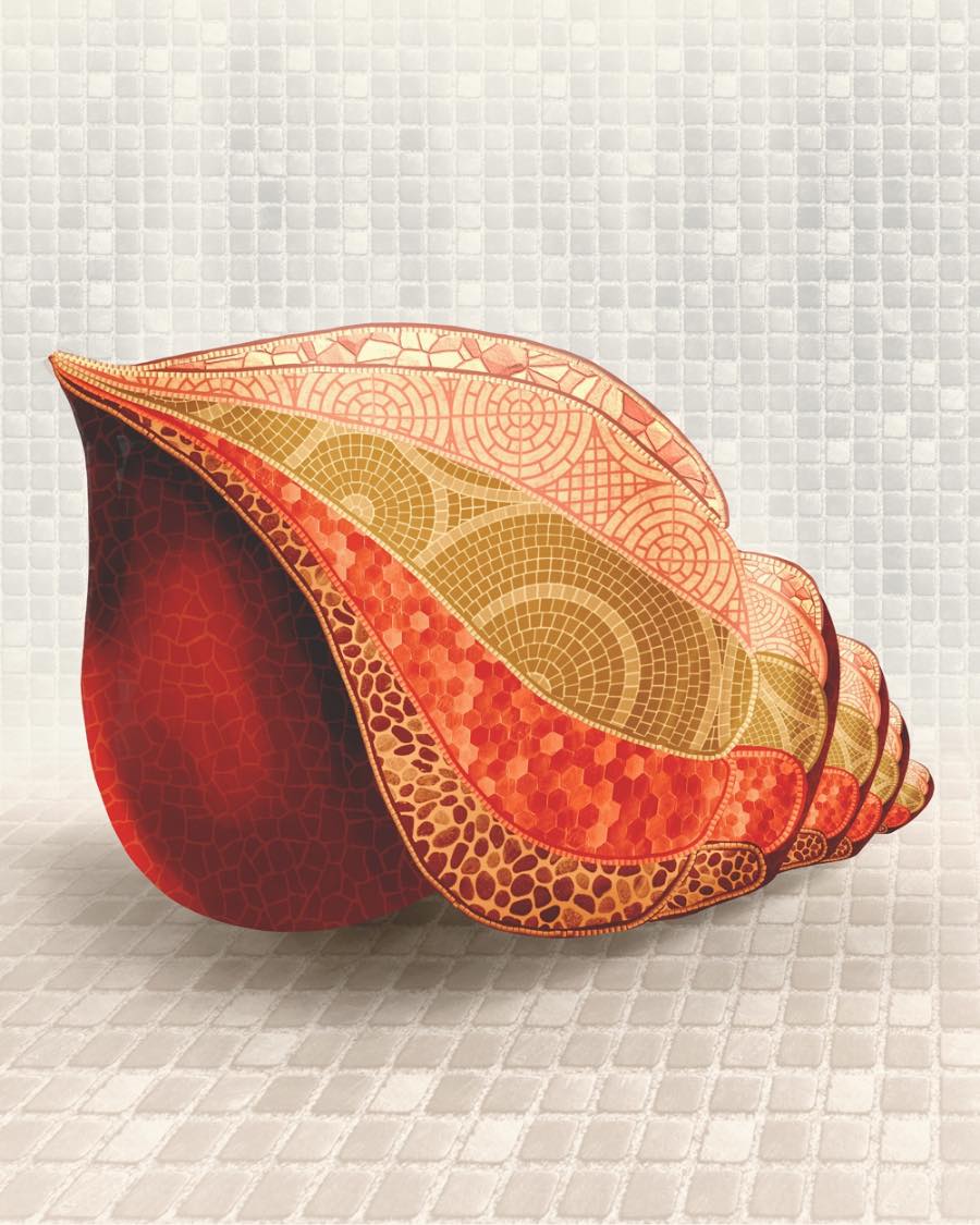 Solve Mosaic Shell jigsaw puzzle online with 30 pieces