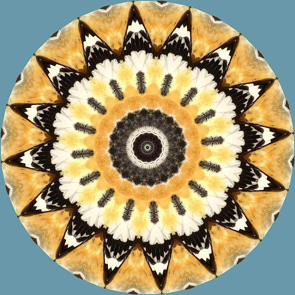 Solve 1 Small Jigsaw Puzzle Online With 64 Pieces solve-1-small-jigsaw-puzzle-online-with-64-pieces