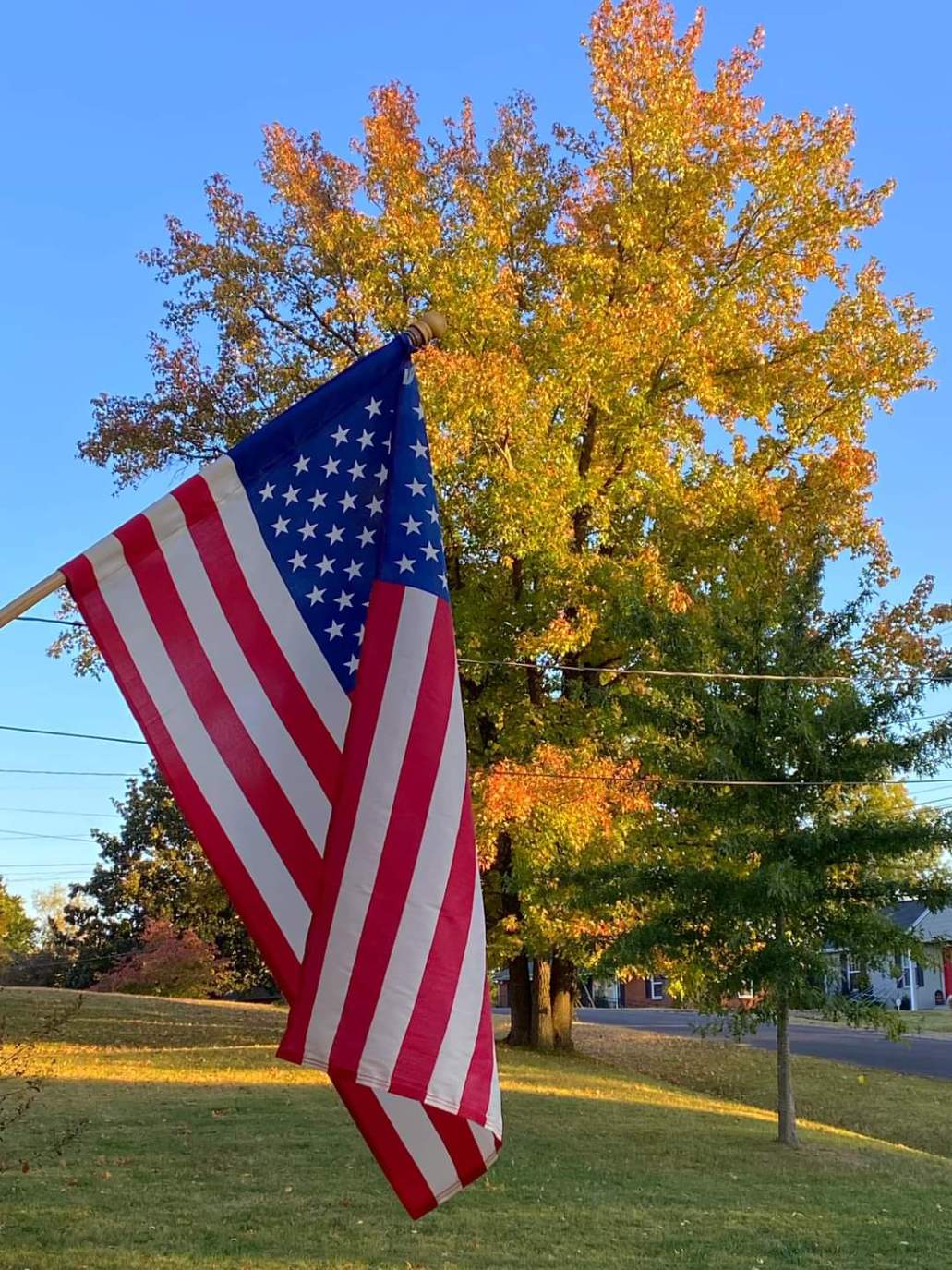 Solve October in Tennessee jigsaw puzzle online with 99 pieces