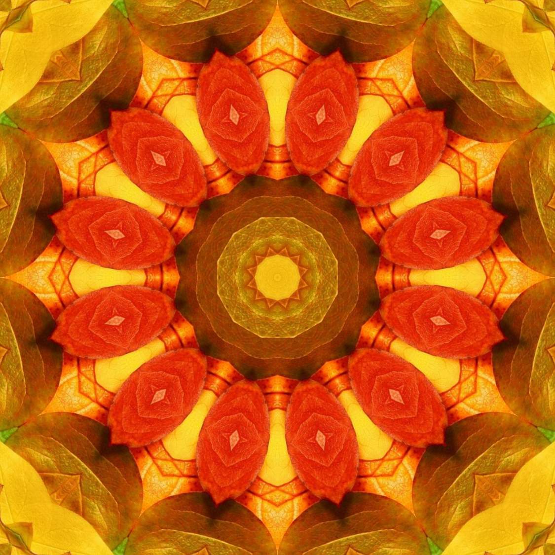 Solve 623 October 3 small jigsaw puzzle online with 36 pieces